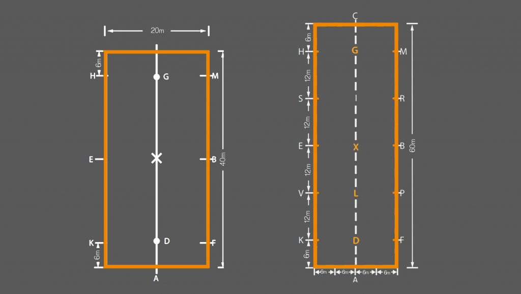 Dressage for beginners: How to get into the sport