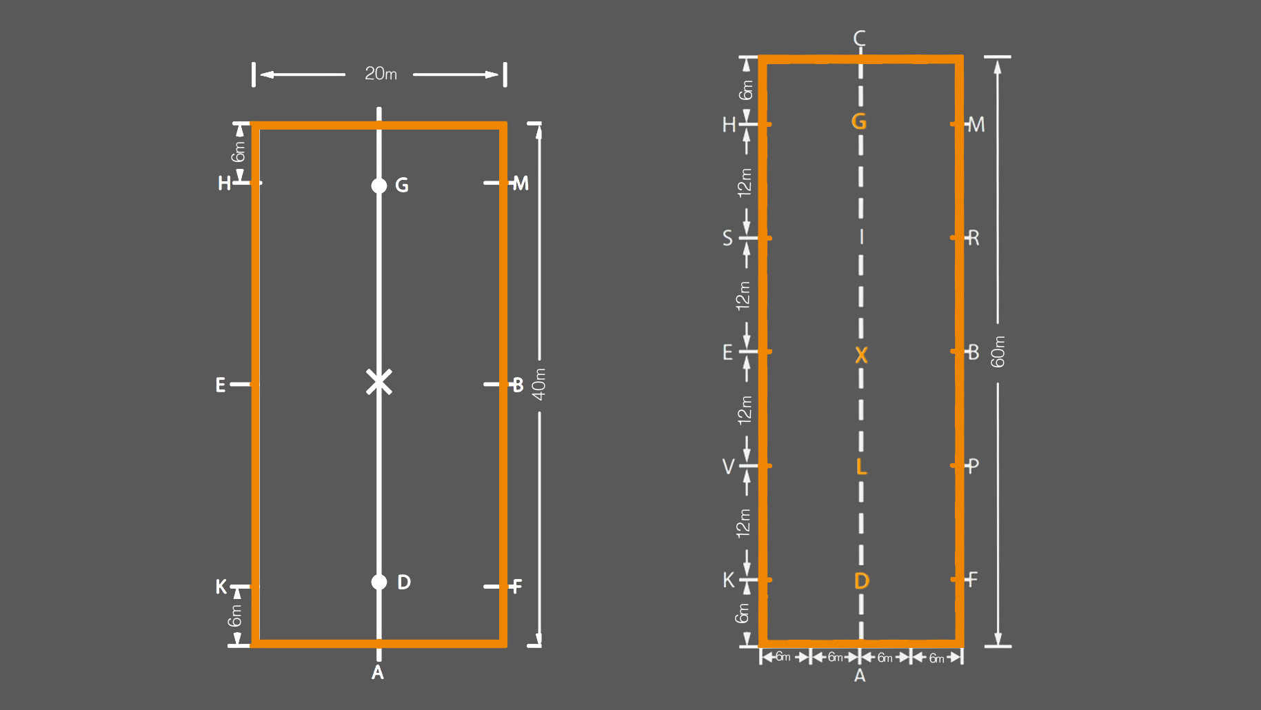 Dressage for beginners: How to get into the sport