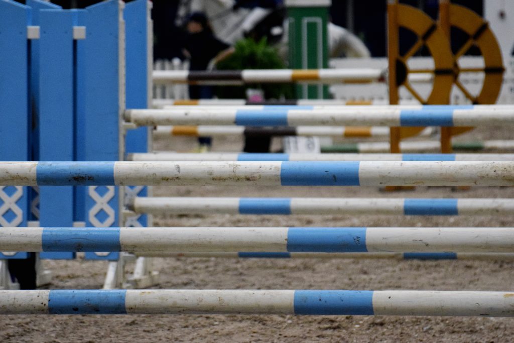 Showjumping for beginners: How to get into the sport