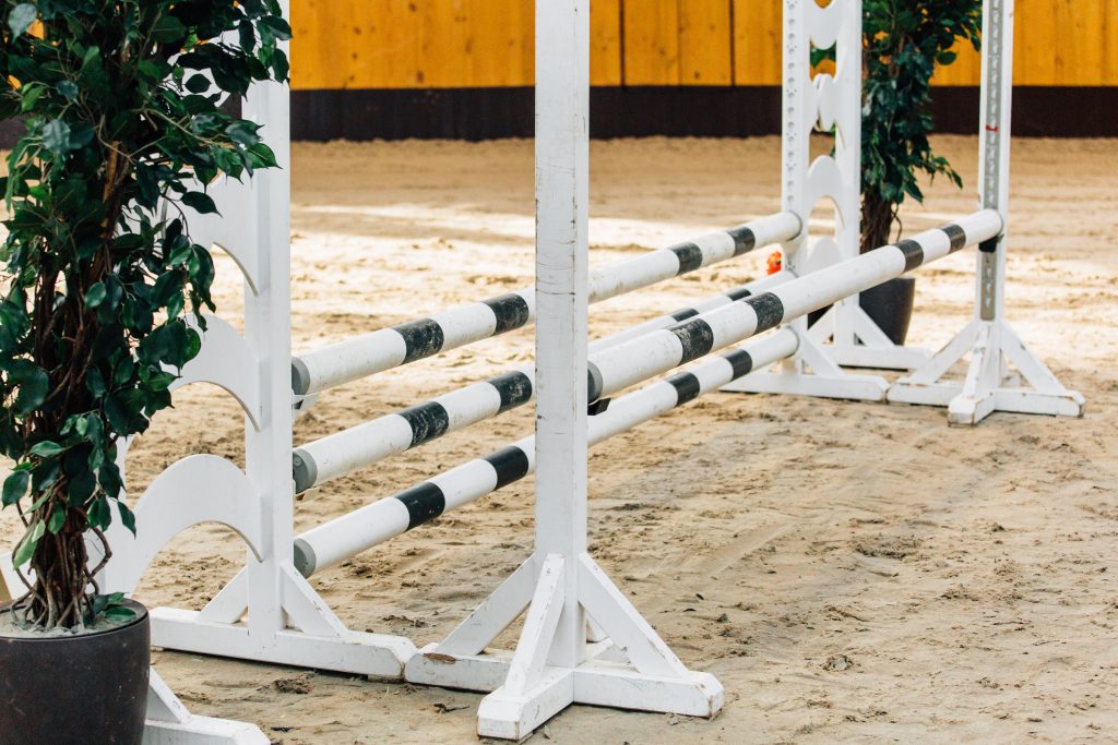 Showjumping for beginners: How to get into the sport
