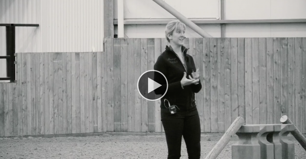 Cross-country horse riding for beginners: How to get into the sport