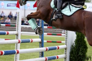 Showjumping for beginners: How to get into the sport