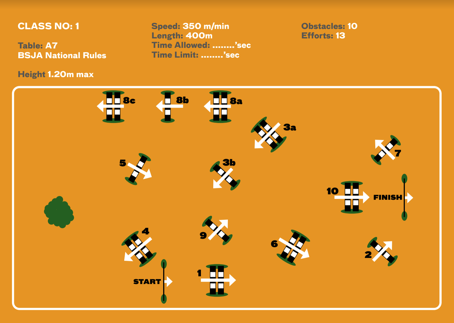 Showjumping for beginners: How to get into the sport