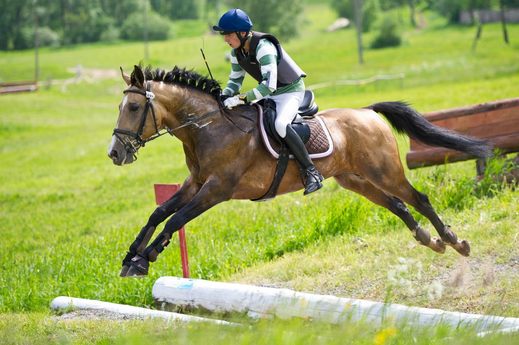 Cross-country horse riding for beginners: How to get into the sport