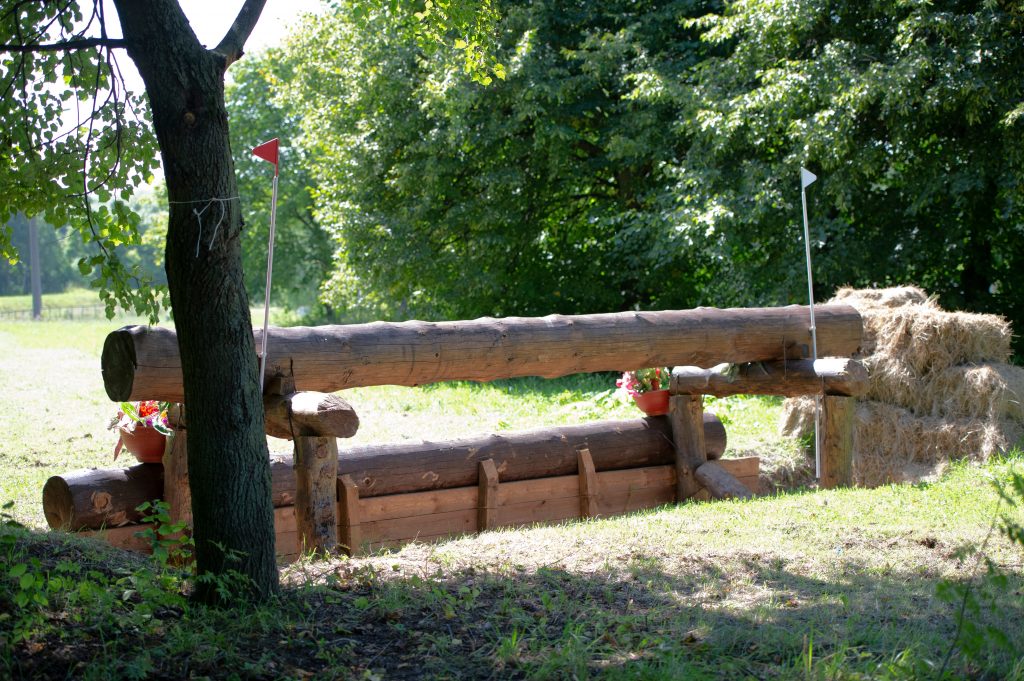 Cross-country horse riding for beginners: How to get into the sport