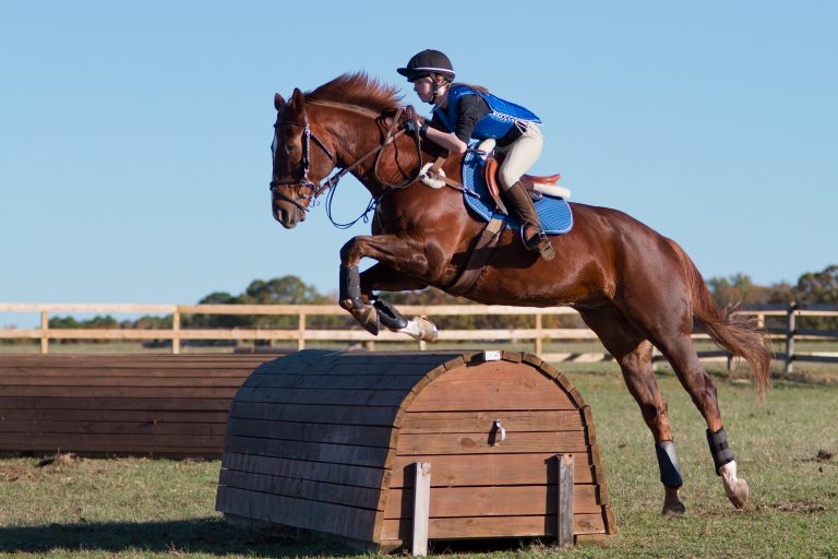 Cross-country horse riding for beginners: How to get into the sport