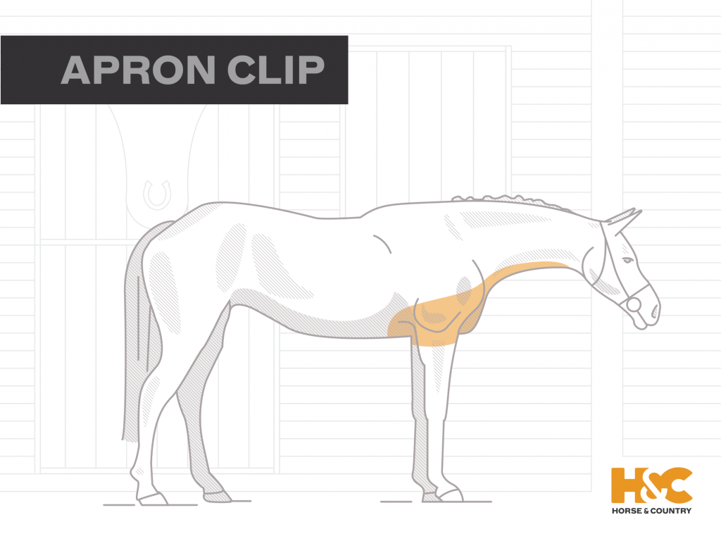 Horse Clipping Guide: Types of Clip & How to Use Them