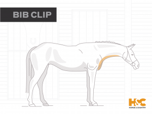 Horse Clipping Guide: Types of Clip & How to Use Them
