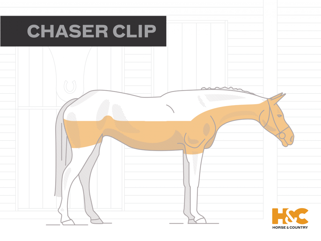 Horse Clipping Guide: Types of Clip & How to Use Them