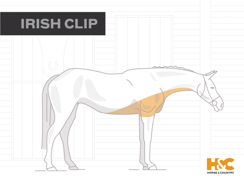 Horse Clipping Guide: Types of Clip & How to Use Them
