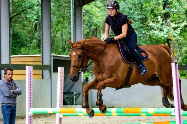 Horse fitness plan: Bringing your horse back into work after a break