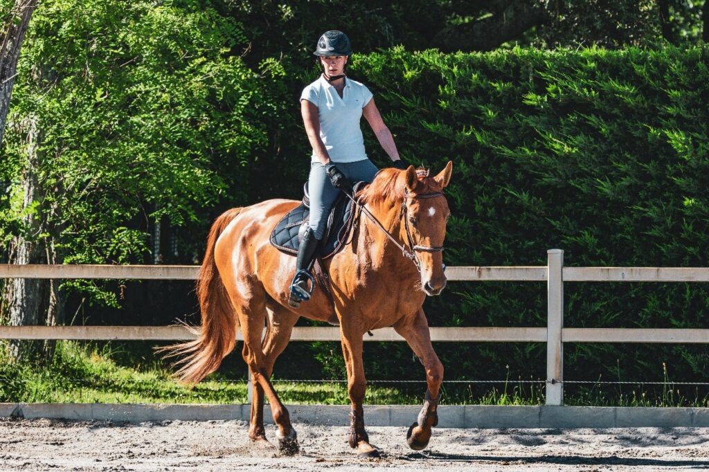 Horse fitness plan: Bringing your horse back into work after a break