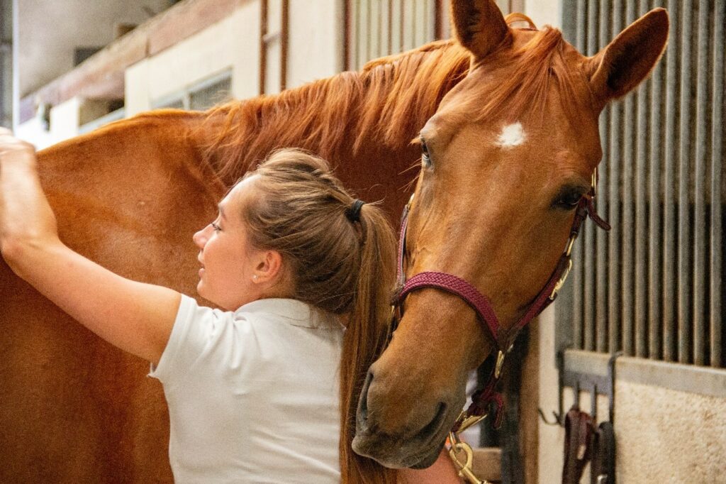 Horse fitness plan: Bringing your horse back into work after a break