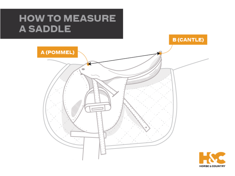A beginner’s guide to saddles