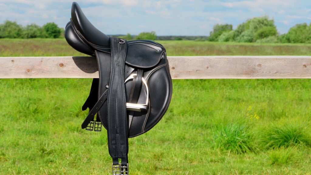 A beginner’s guide to saddles