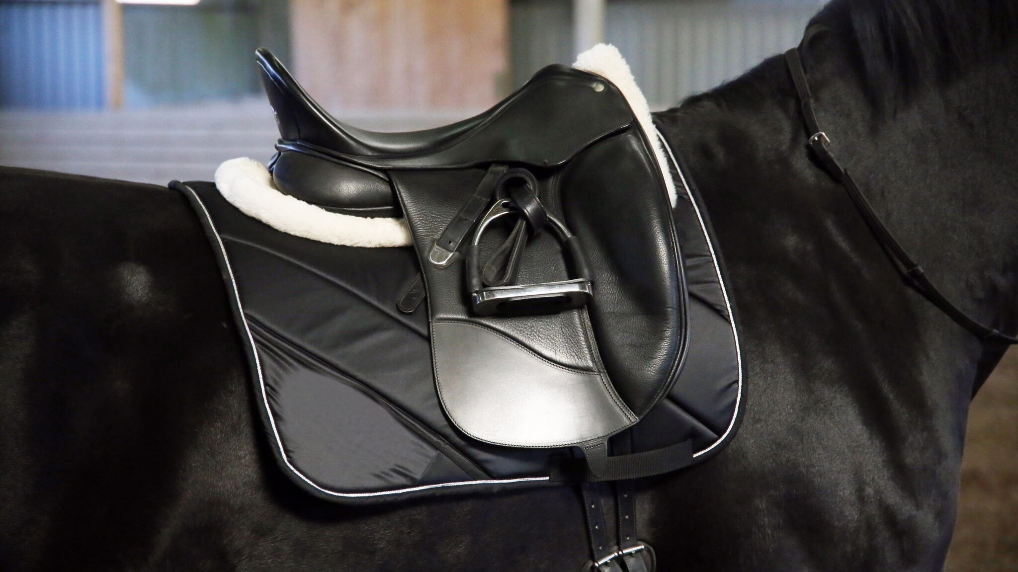 A beginner’s guide to saddles