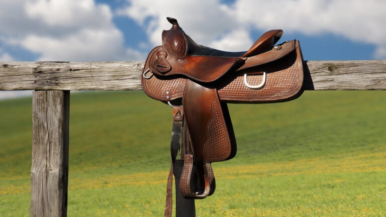 A beginner’s guide to saddles