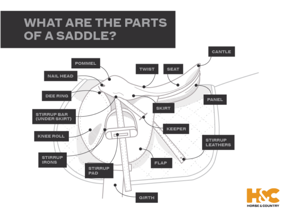 A beginner’s guide to saddles