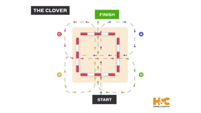 The best muscle-building pole work exercises for any horse