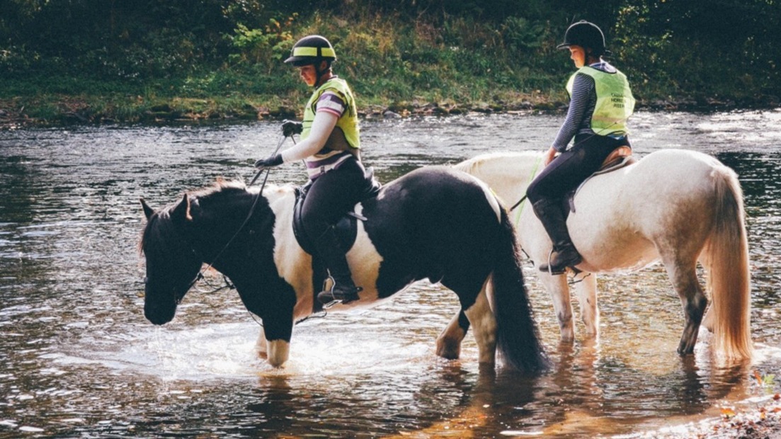 Horse Hacking: What is it, and how to do it safely