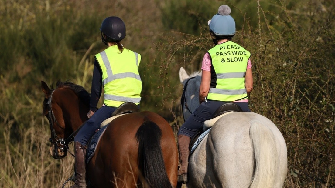 Horse Hacking: What is it, and how to do it safely
