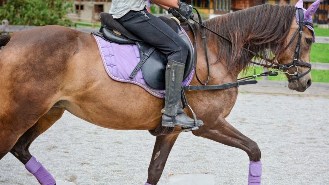 The best muscle-building pole work exercises for any horse